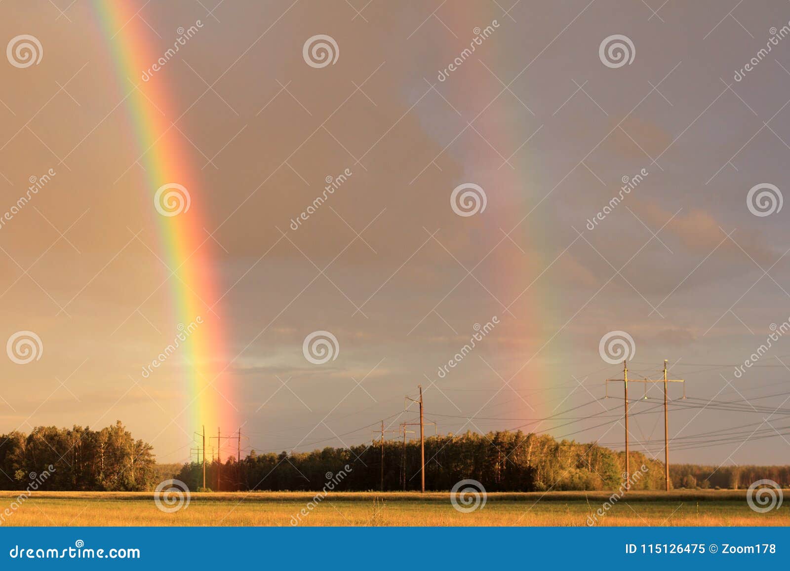 Expanded Color Palette of Summer Stock Image - Image of forests, lines ...