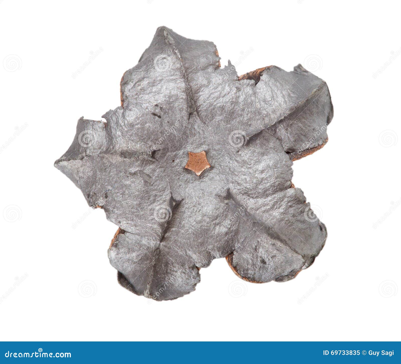 Expanded hollow point stock image. Image of grey, lead - 69733835