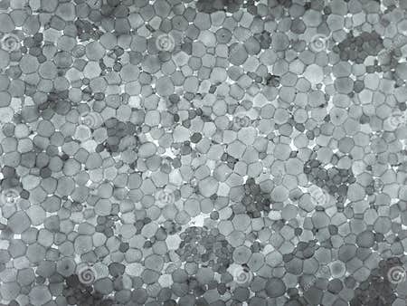 Expanded Polystyrene Plastic Texture Background Stock Photo - Image of ...