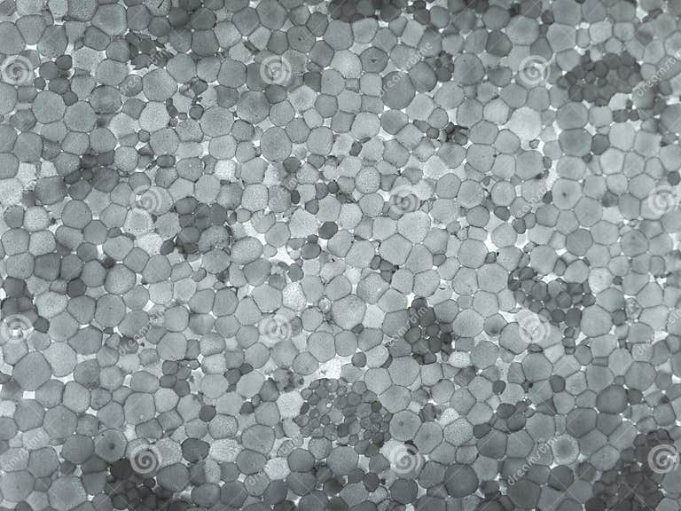 Expanded Polystyrene Plastic Texture Background Stock Photo - Image of ...