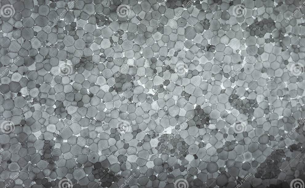 Expanded Polystyrene Plastic Texture Background Stock Image - Image of ...