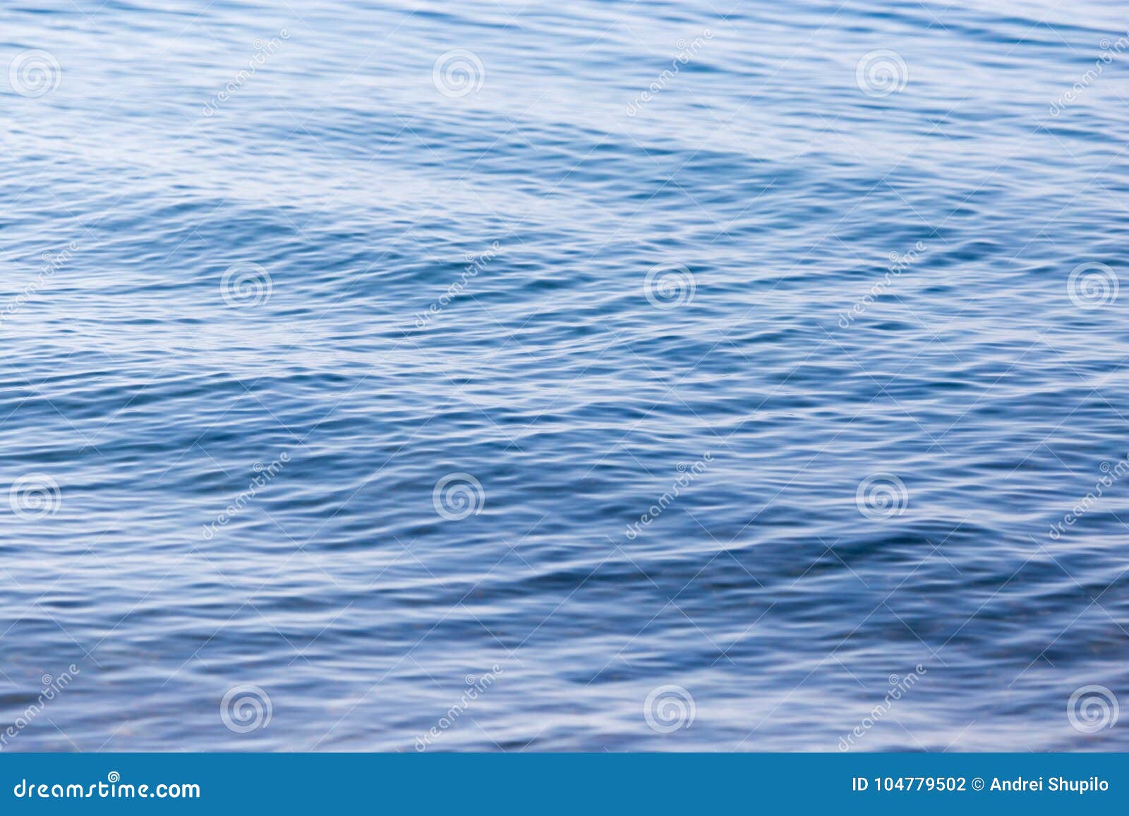 Expanse of Water in the Lake As a Backdrop Stock Photo - Image of ...