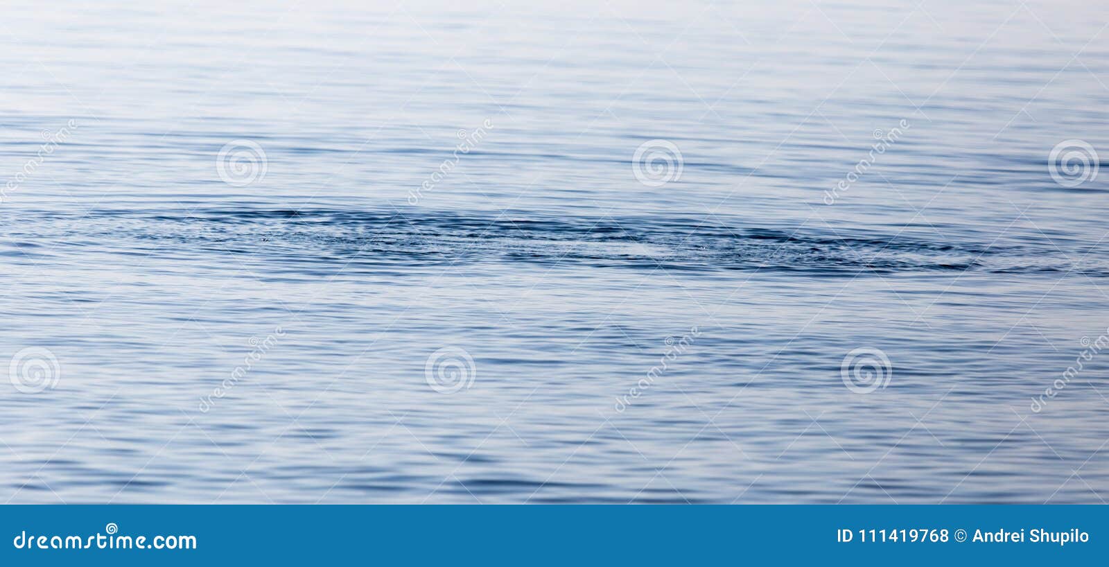 Expanse of Water in the Lake As a Backdrop Stock Photo - Image of clean ...