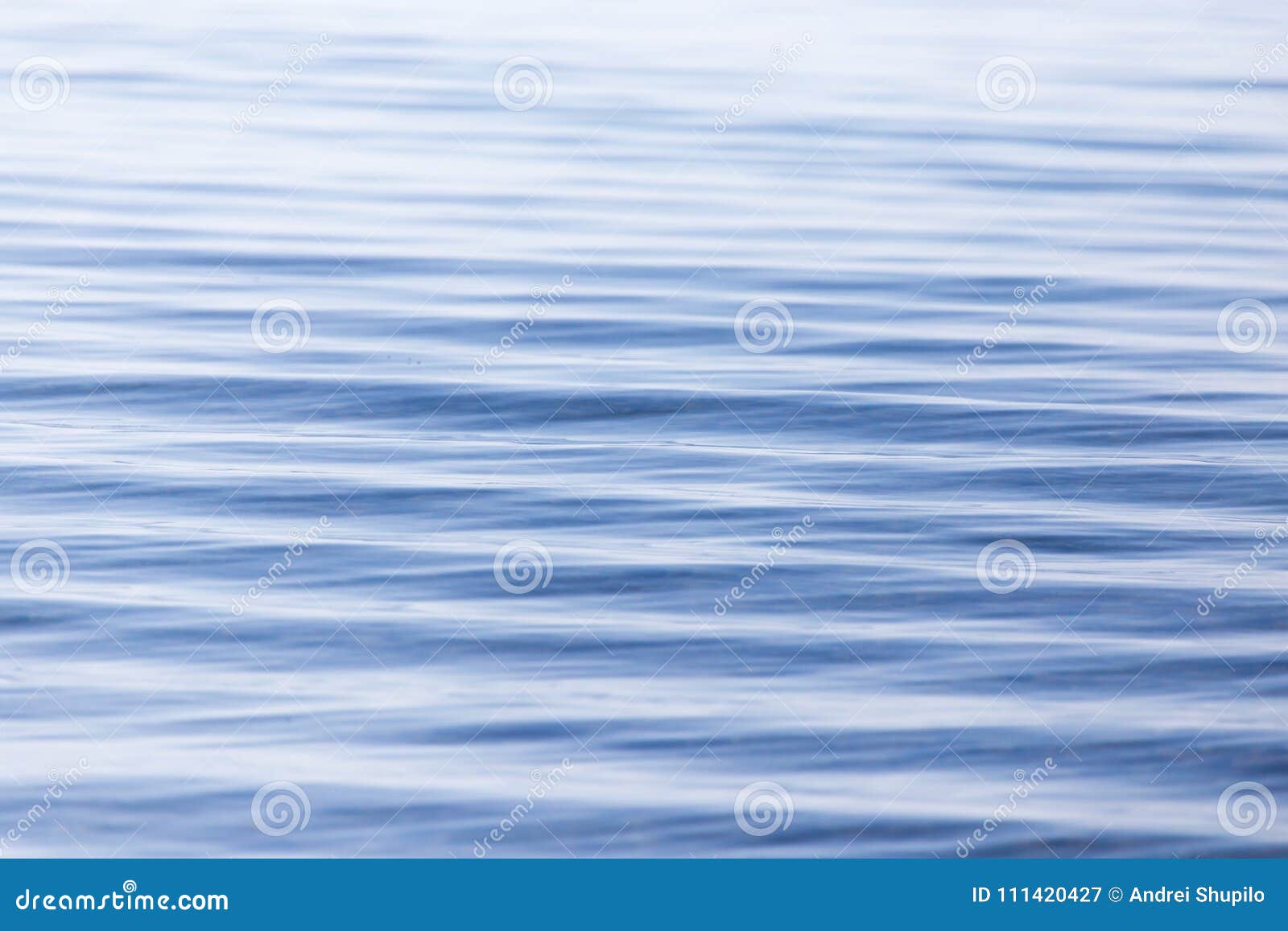 Expanse of Water in the Lake As a Backdrop Stock Image - Image of fresh ...