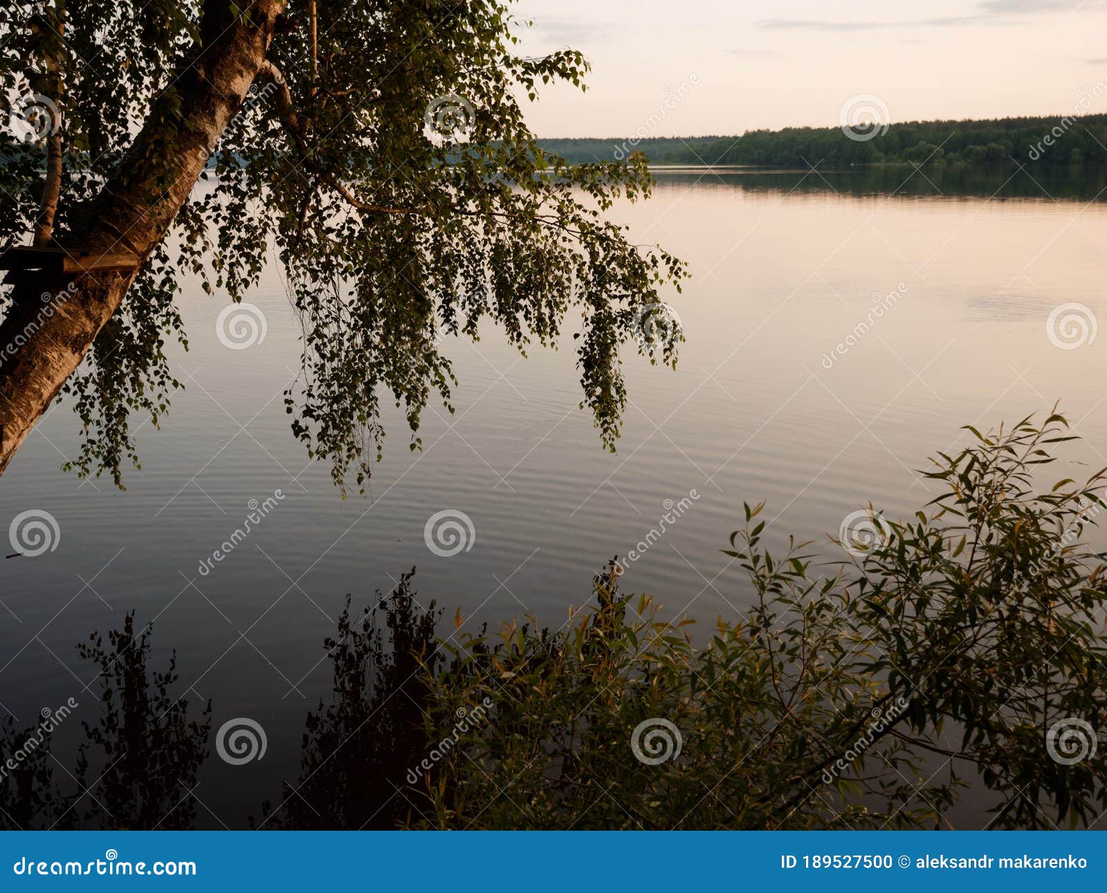 Expanse of Water on the Lake in the Evening Stock Photo - Image of ...