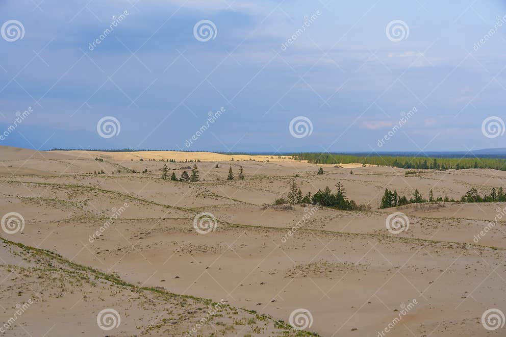 Expansive Desert Dunes Under a Dramatic Sky with Distant Mountains ...