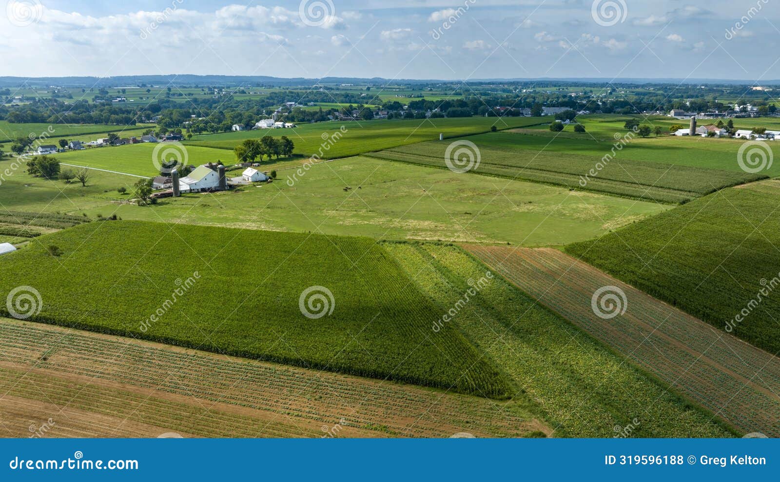 Expansive Farmland with Rows of Crops and Barns Stock Photo - Image of ...