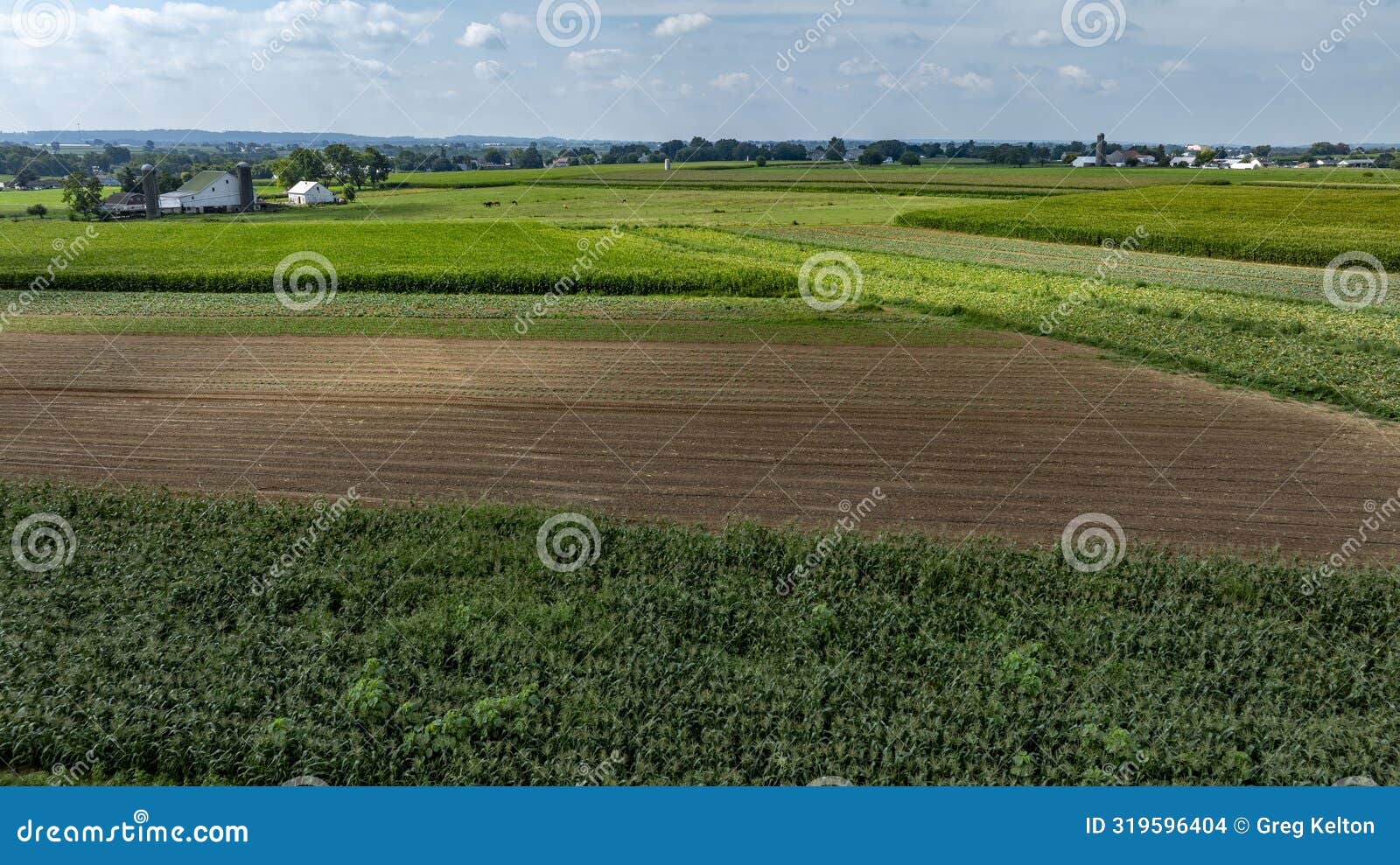 Expansive Farmland with Rows of Crops and Barns Stock Photo - Image of ...