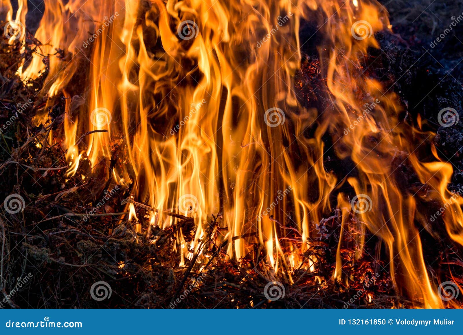 Expansive Fire. the Texture of Fire, Bright Flame on a Dark Back Stock ...