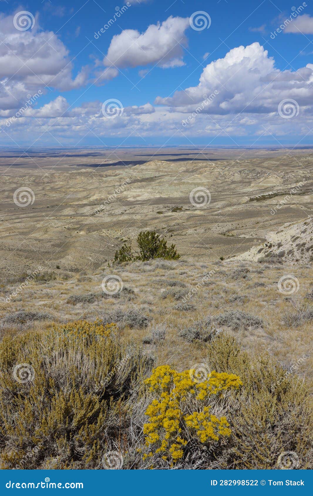 The Great Divide Basin, Wyoming Stock Photo - Image of great ...