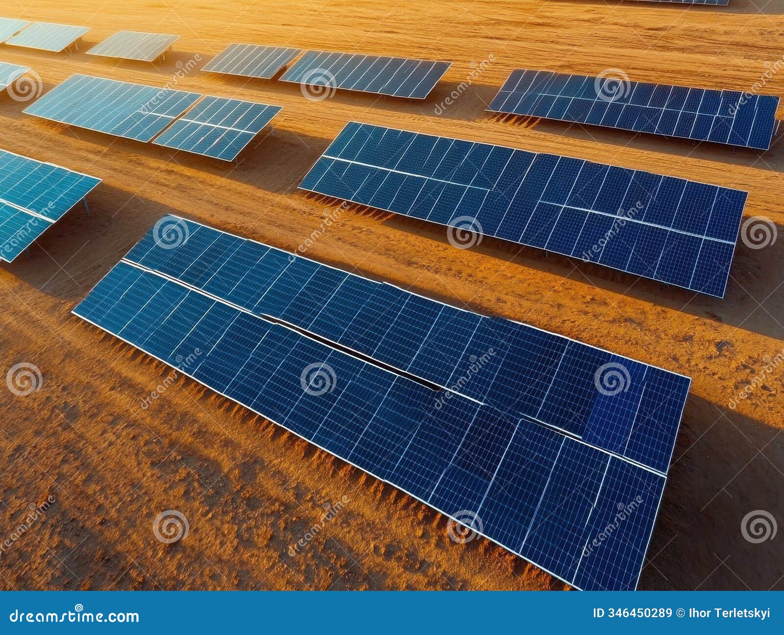 Expansive Solar Panel Installation Captures the Essence of Renewable ...