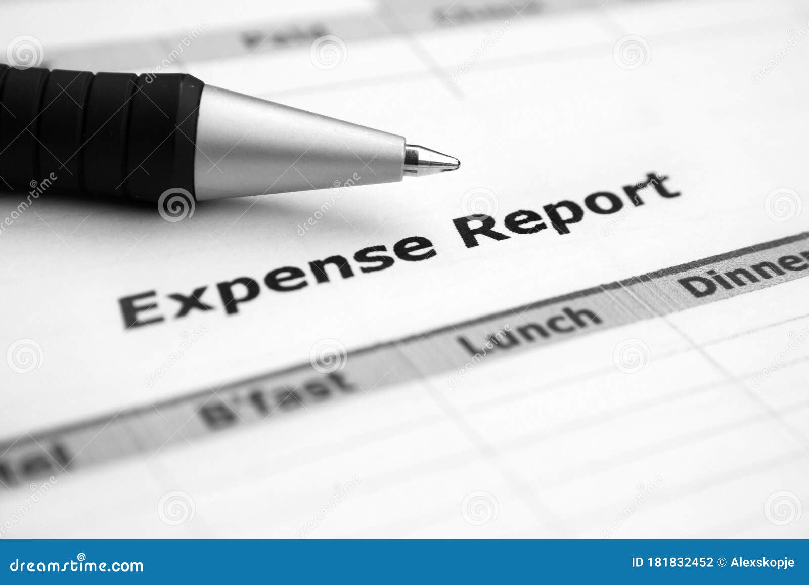 Expense report stock photo. Image of spreadsheet, financial - 181832452