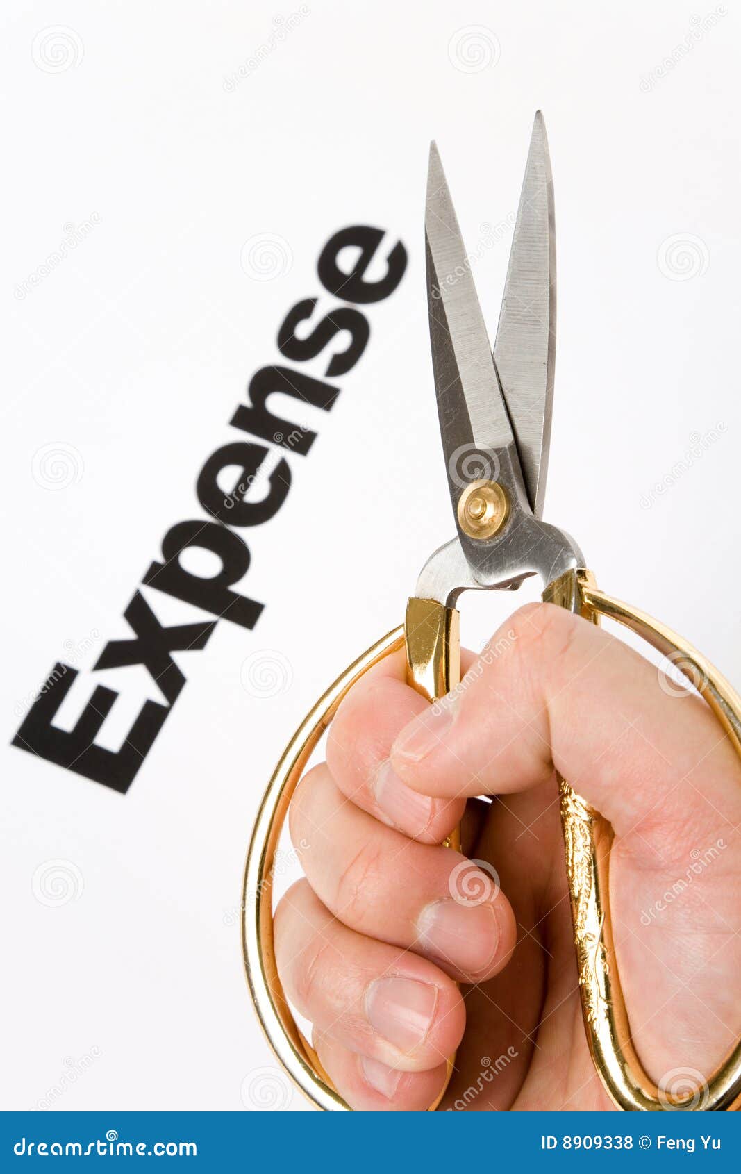 Expenses Cut stock photo. Image of scissors, concepts - 8909338