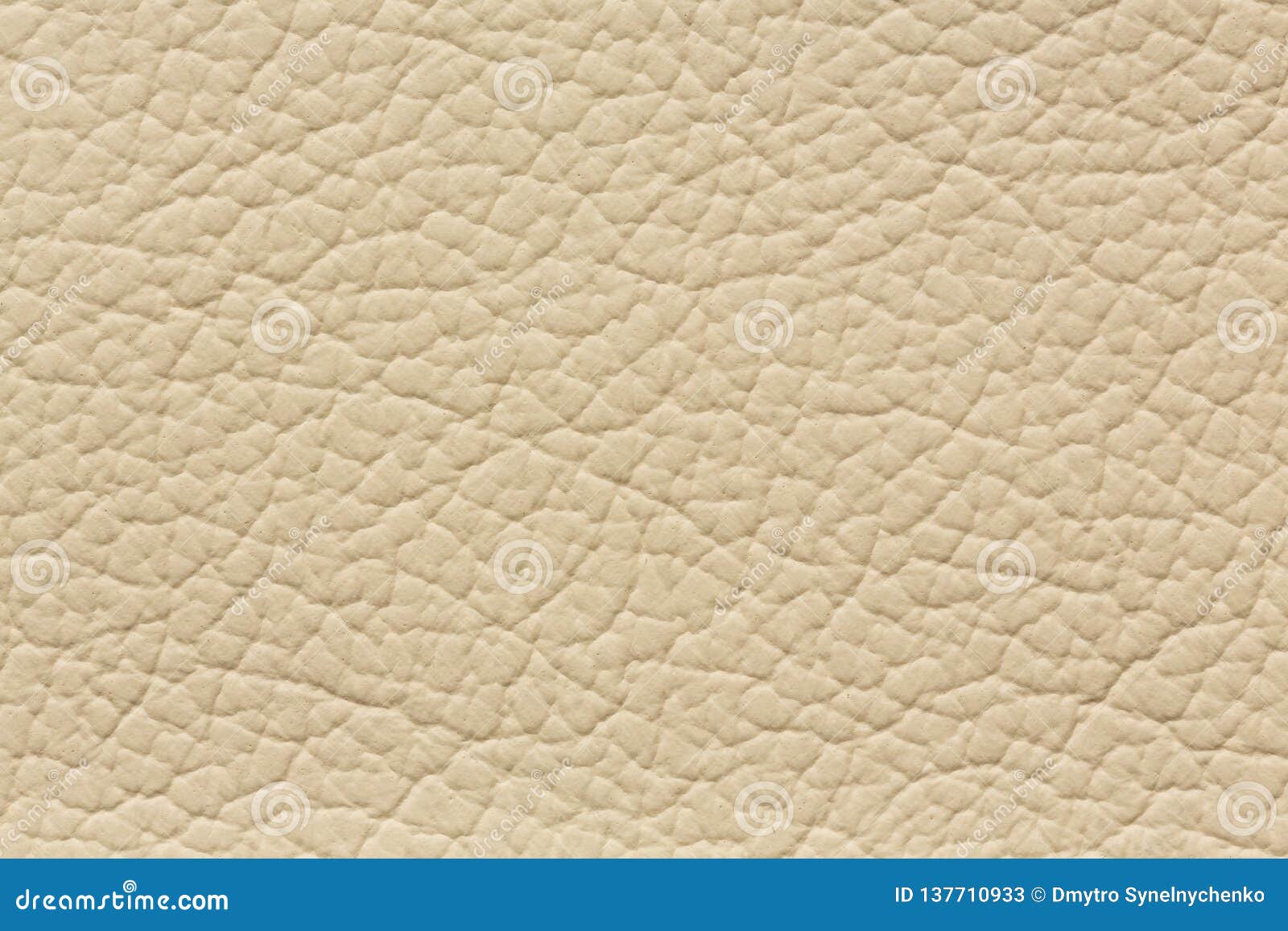 Expensive Light Beige Leather Texture with Elegance. Stock Image ...
