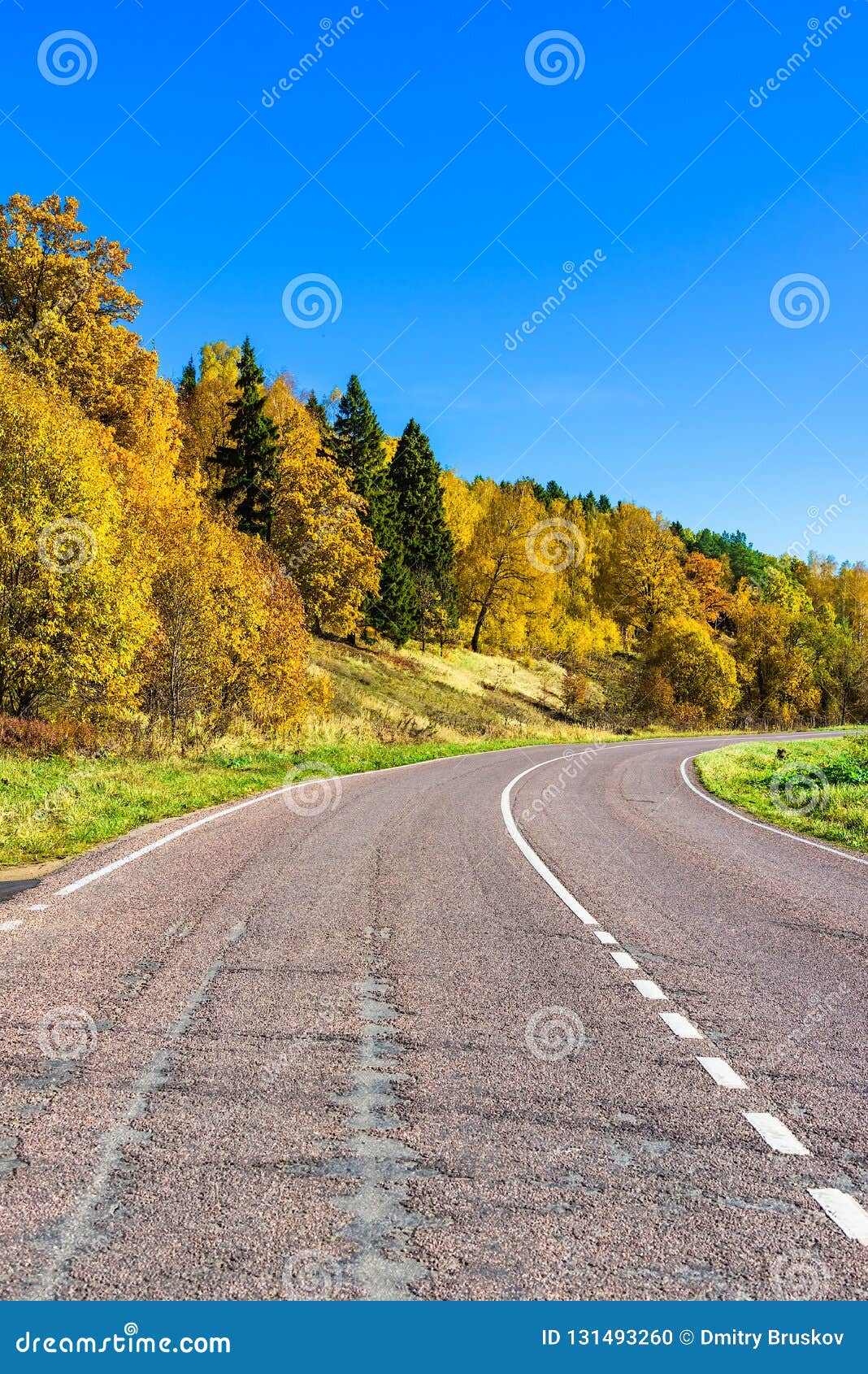 Expensive Meadows with Woods Full Sun Stock Photo - Image of highway ...