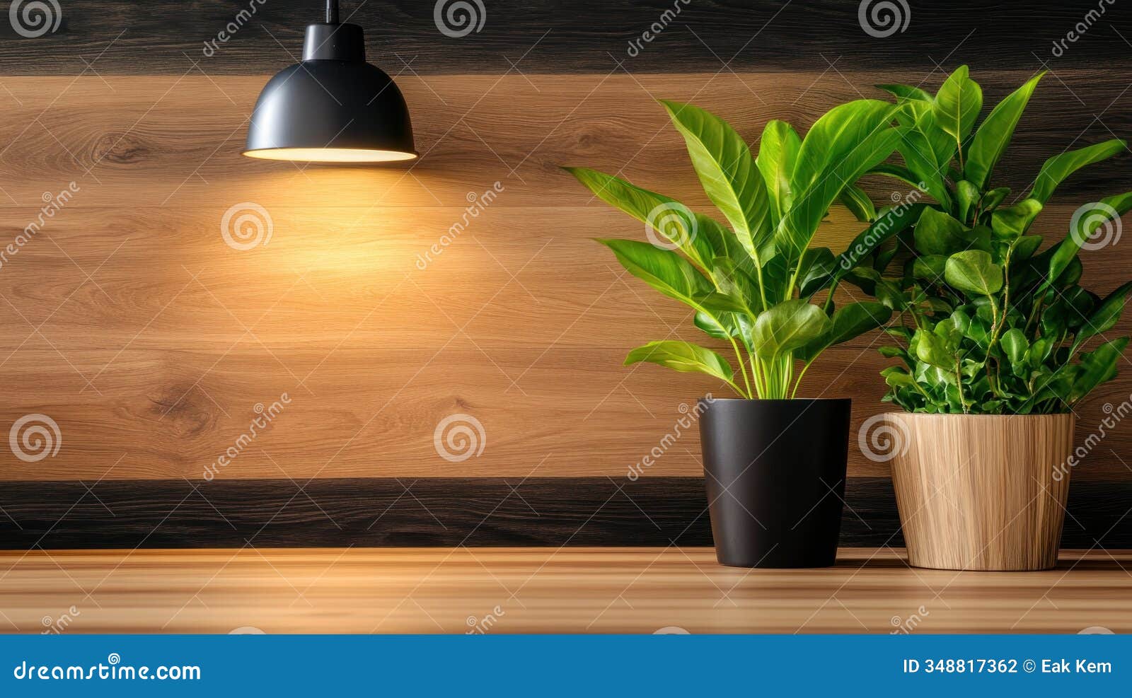 Experience the Epitome of Modern Kitchen Design a Compact, Minimalist ...