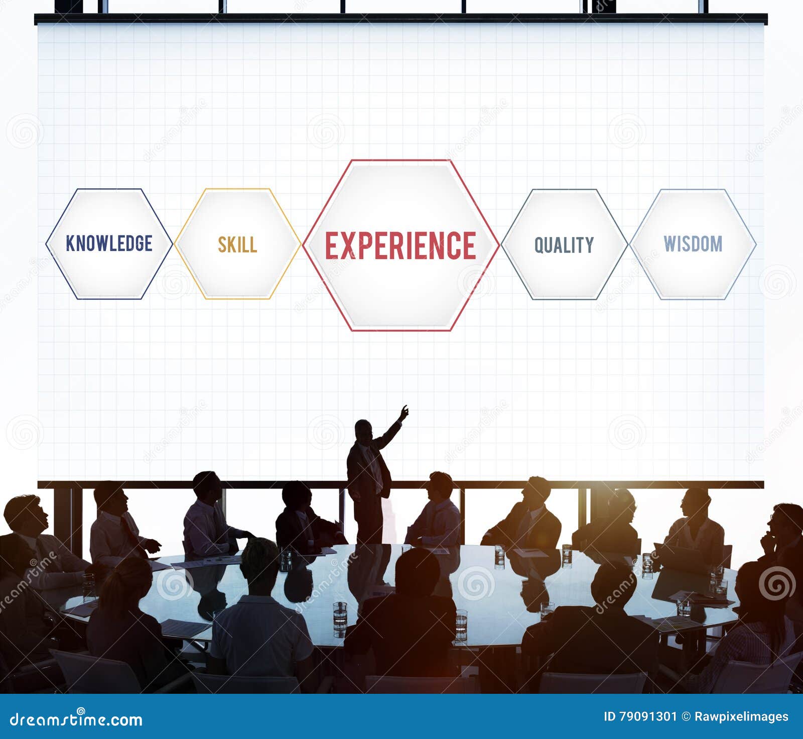 Experience Knowledge Skill Wisdom Intelligence Concept Stock Image ...