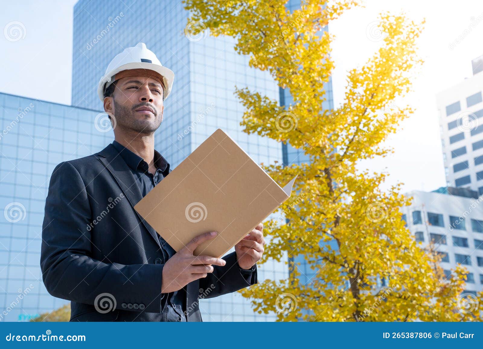 Experienced Architect, Constructor Engineer in Protective White Helmet ...