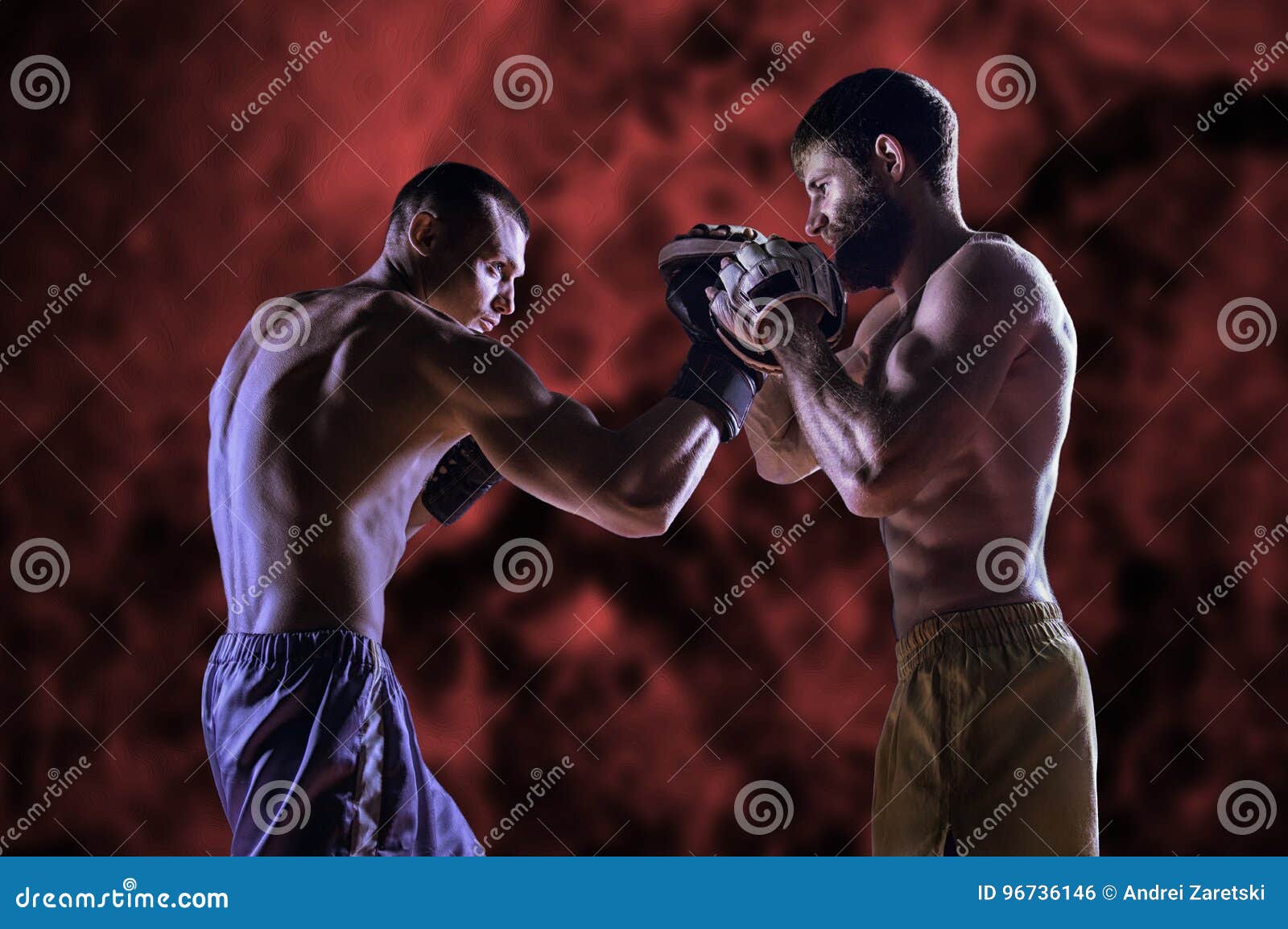 Experienced Coach Prepares a Young Fighter Stock Photo - Image of ...