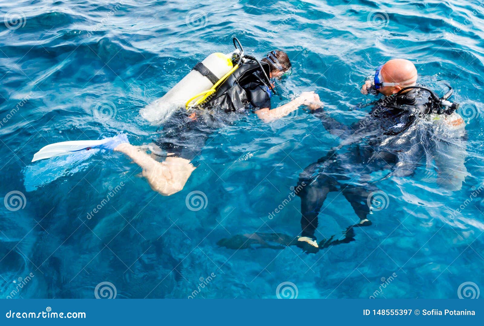 Experienced Diver Instructor Teaches a Beginner Diver To Dive in Egypt ...