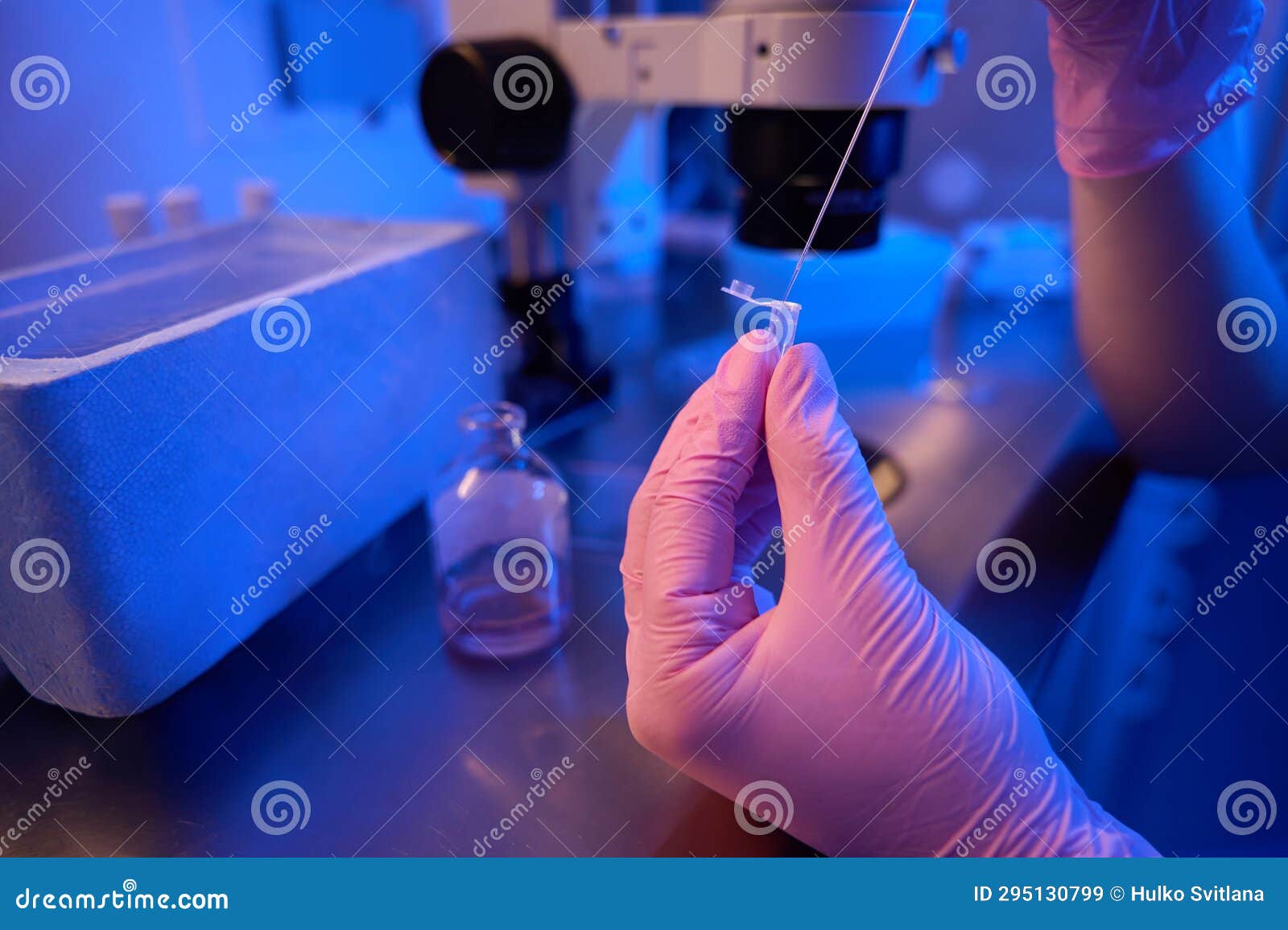 Experienced Embryologist Preparing Biological Samples for Vitrification ...