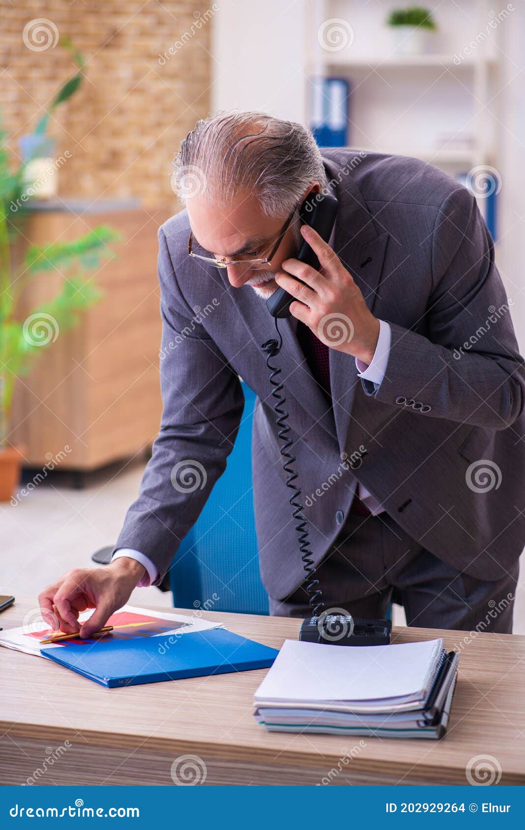 Experienced Male Employee Working in the Office Stock Photo - Image of ...