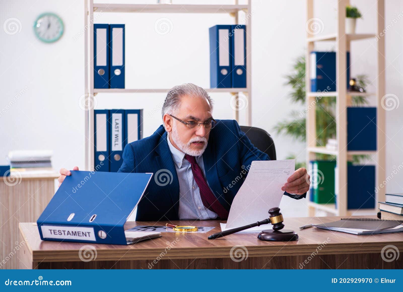 Experienced Male Judge Sitting in the Office Stock Photo - Image of ...