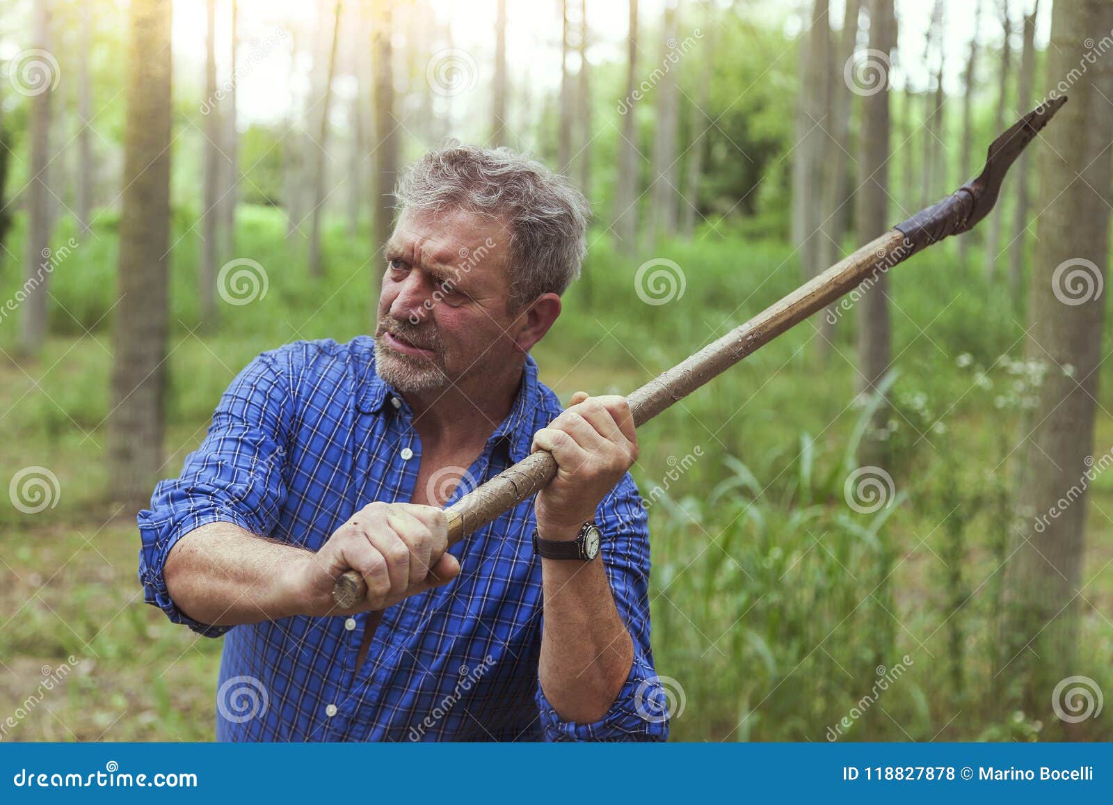 Experienced Lumberjack while Visiting a Forest Stock Photo - Image of ...
