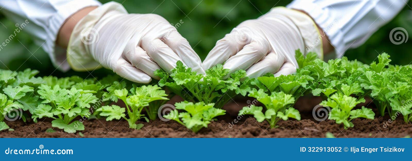 Pest Exterminator Team Stock Image | CartoonDealer.com #52982491