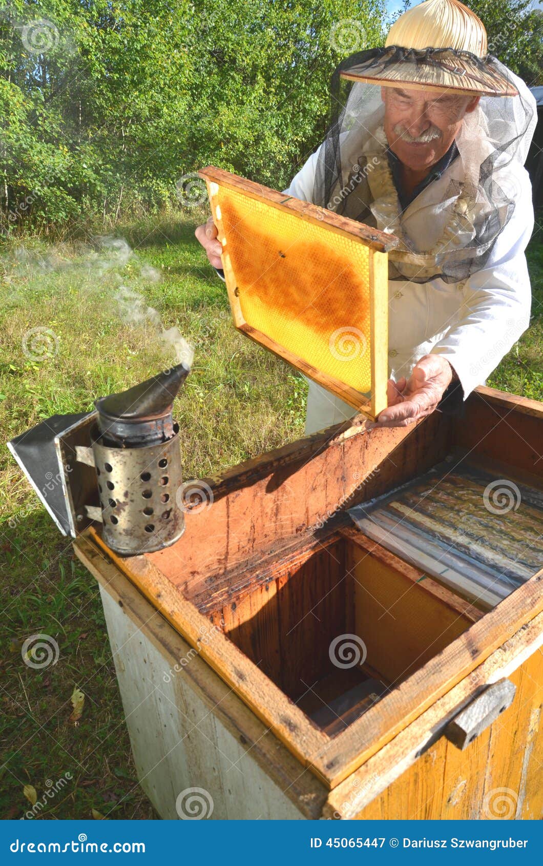 Experienced Senior Beekeeper Making Inspection in Apiary Stock Image ...