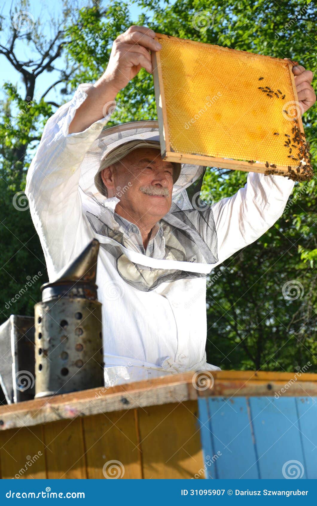 Experienced Senior Beekeeper Working in His Apiary Stock Image - Image ...