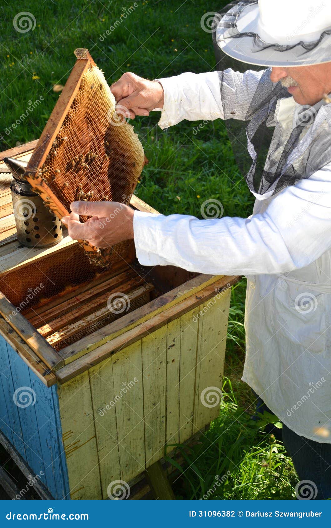 Experienced Senior Beekeeper Working in His Apiary Stock Photo - Image ...
