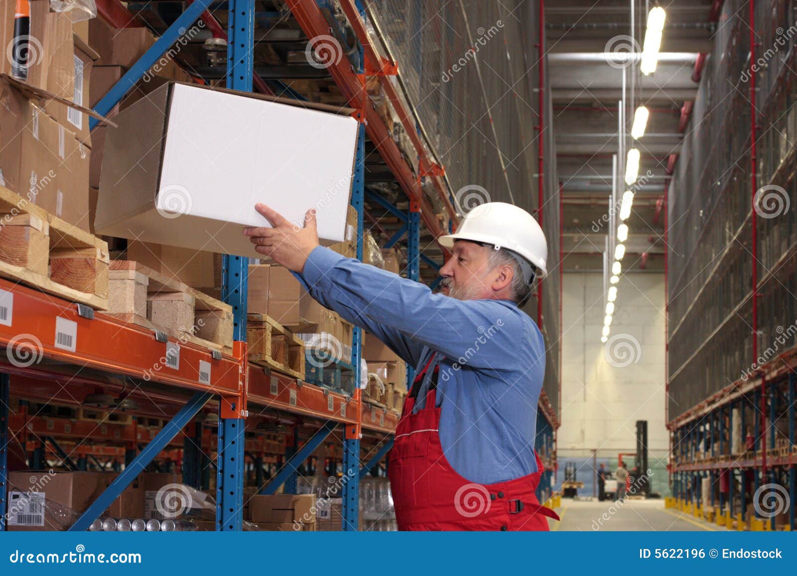 Experienced Worker with Box Stock Photo - Image of experience, heavy ...