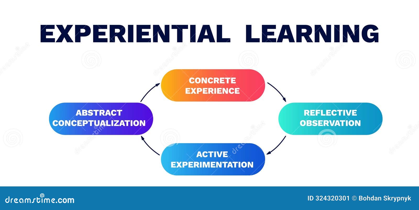 Experiential Learning Model Diagram. Pie Chart with Marketing ...
