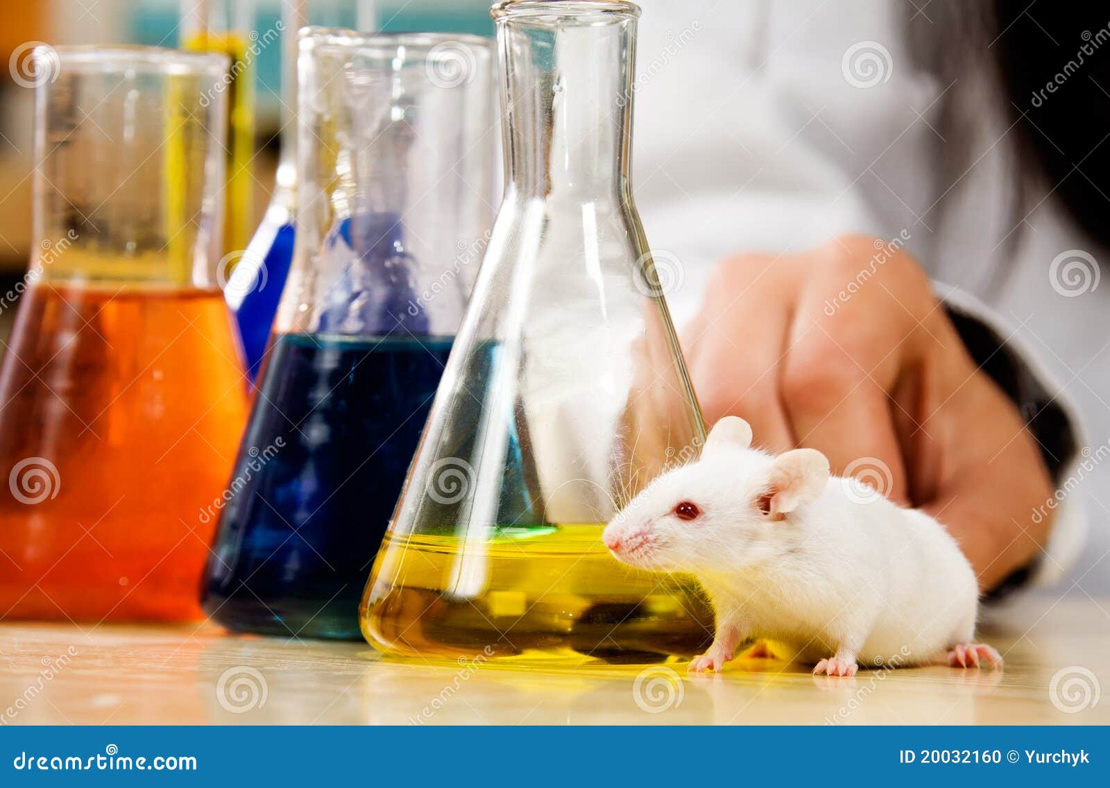Experiment stock photo. Image of medicine, manual, industry - 20032160