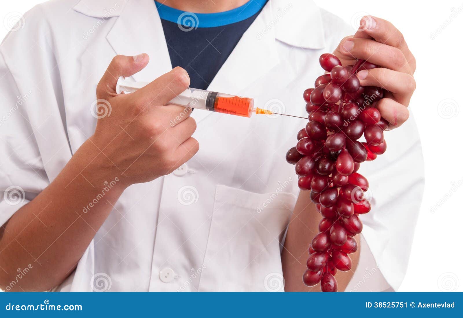 Experiment with Grapes Fruits in Laboratory Stock Image - Image of meat ...