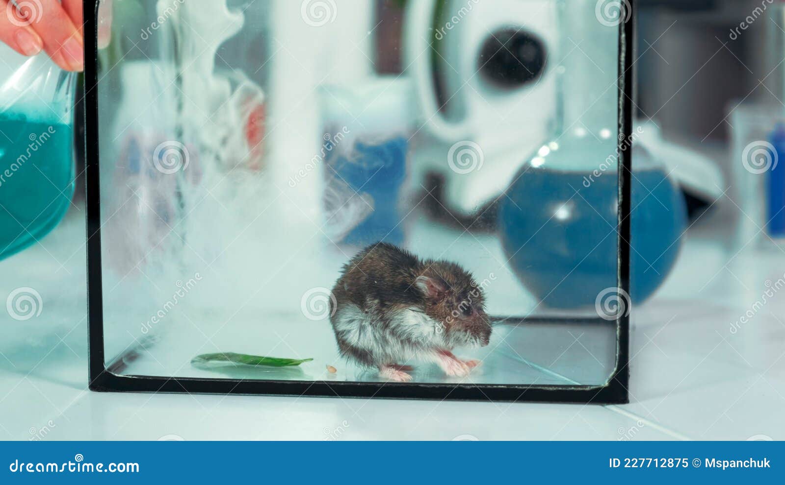 Experiment in Modern Chemistry Laboratory: Running Smoke from Flask ...