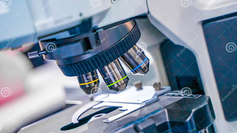 Experiment Plate and Digital Camera Microscope Stock Photo - Image of ...