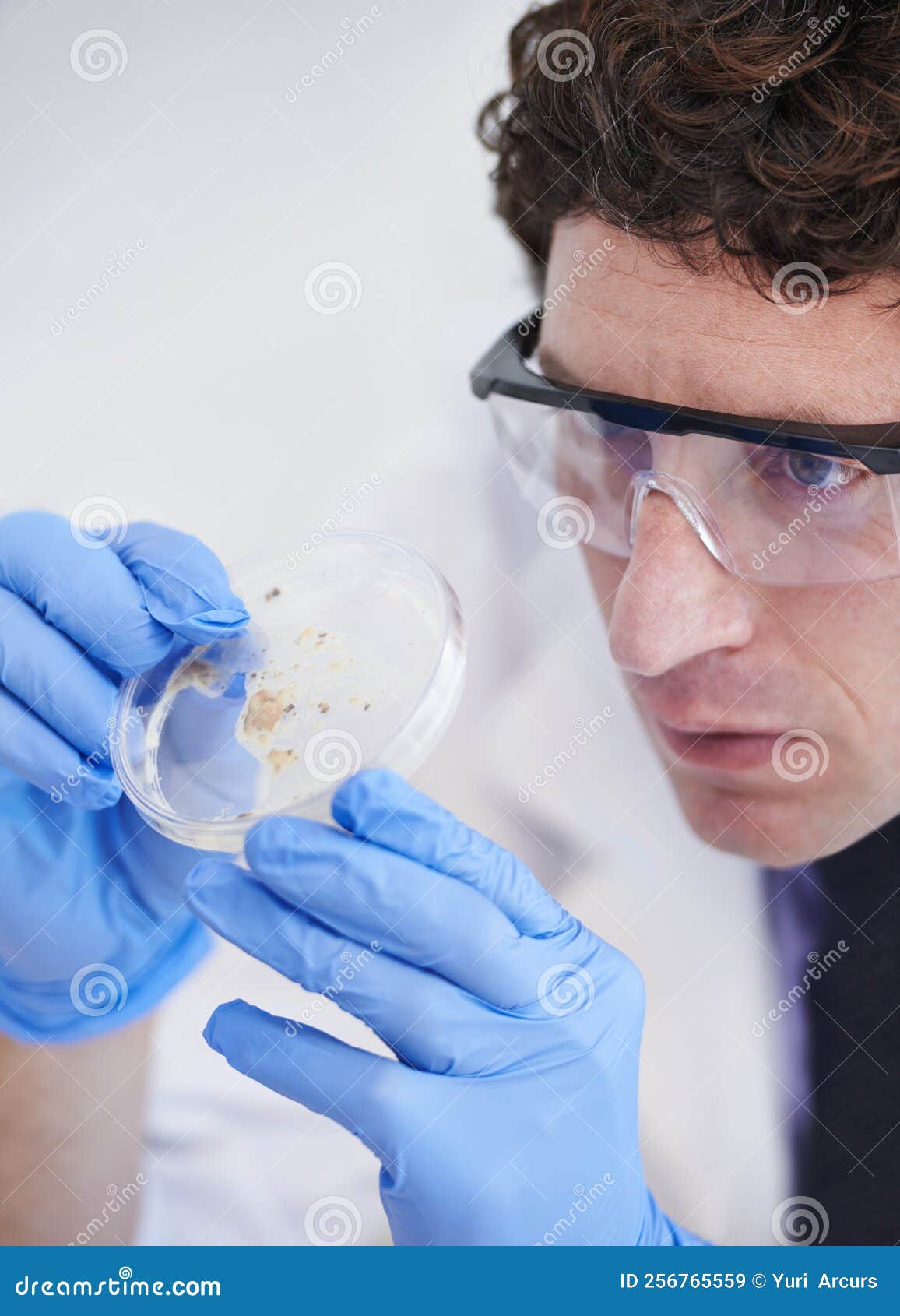 An Experiment in Progress. a Cropped Shot of a Scientist Examining the ...