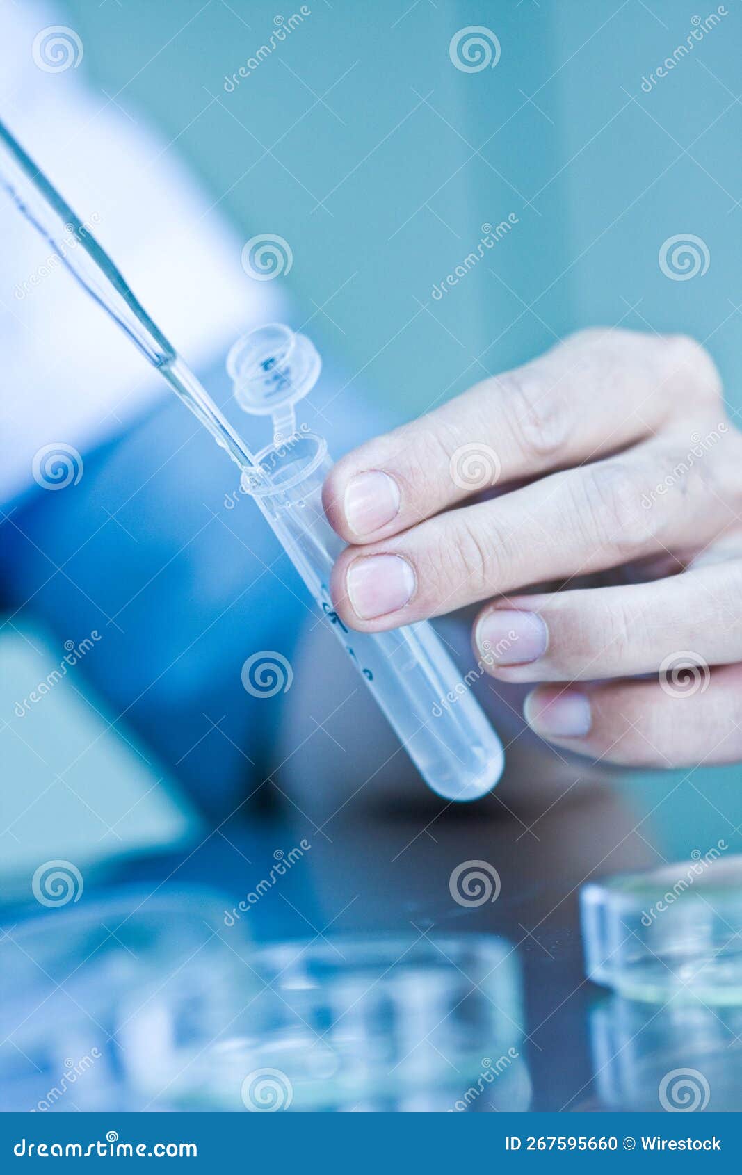 Experiment with a Test Tube in a Laboratory Stock Photo - Image of ...