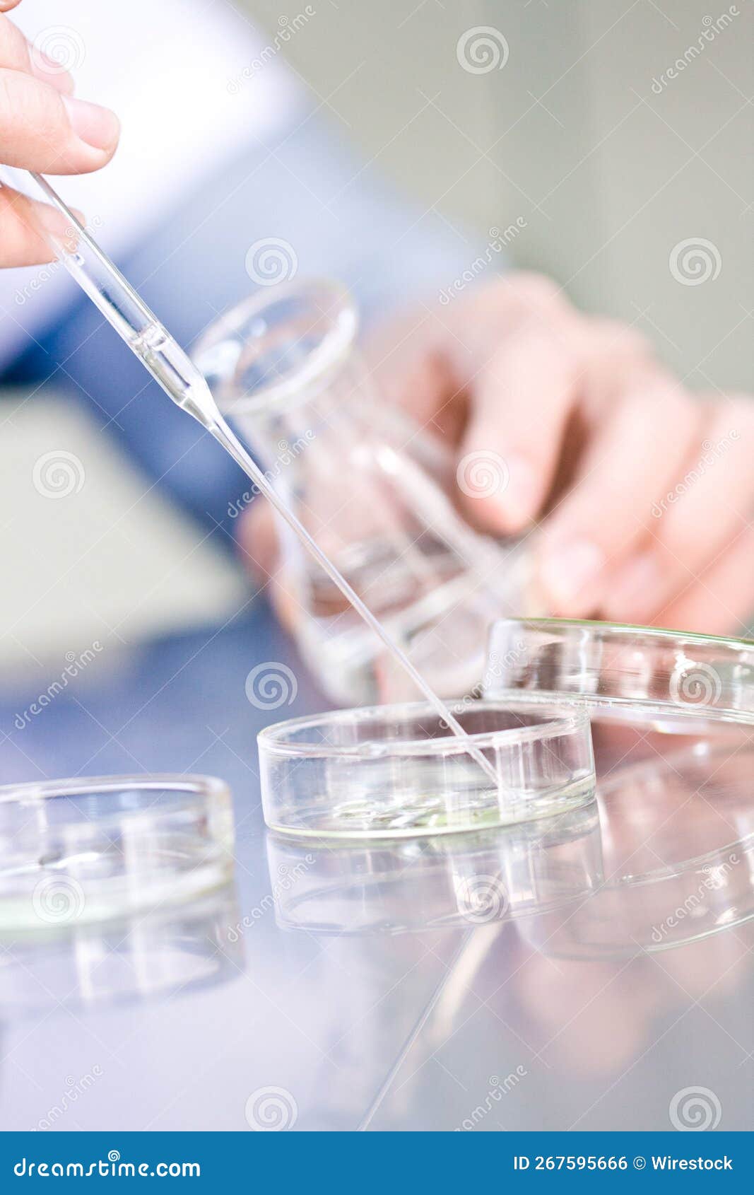 Experiment with a Test Tube in a Laboratory Stock Photo - Image of ...