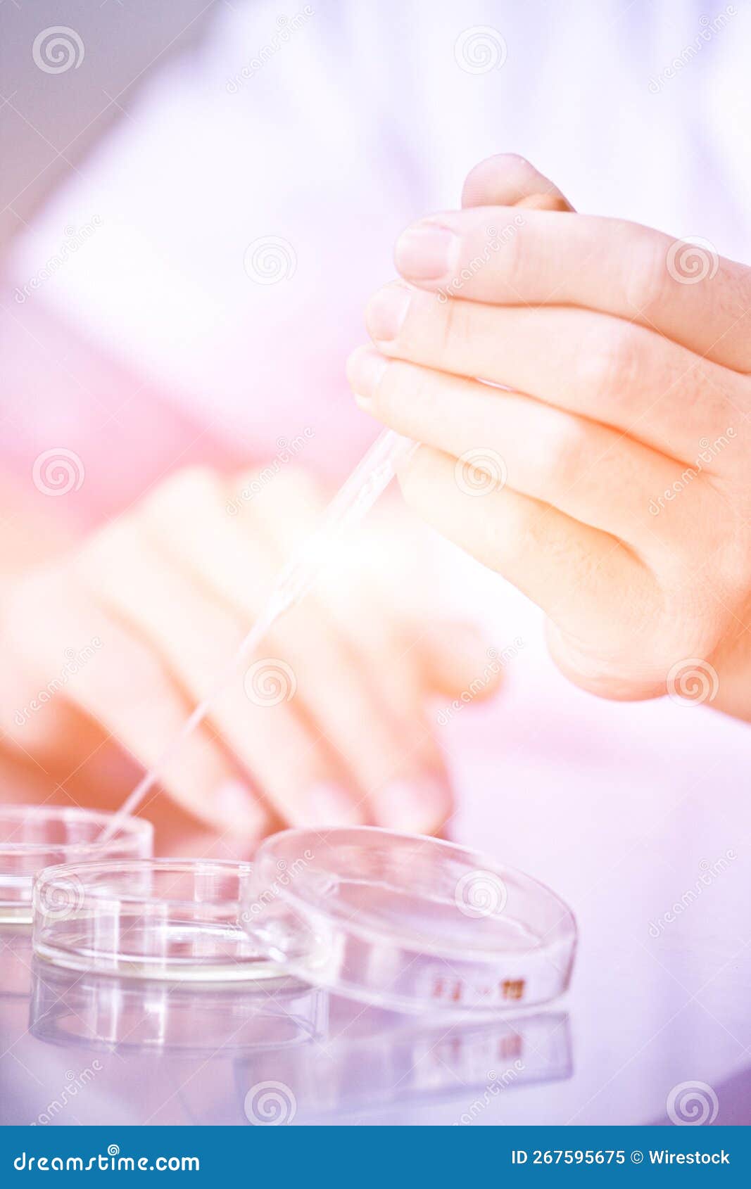 Experiment with a Test Tube in a Laboratory Stock Image - Image of ...