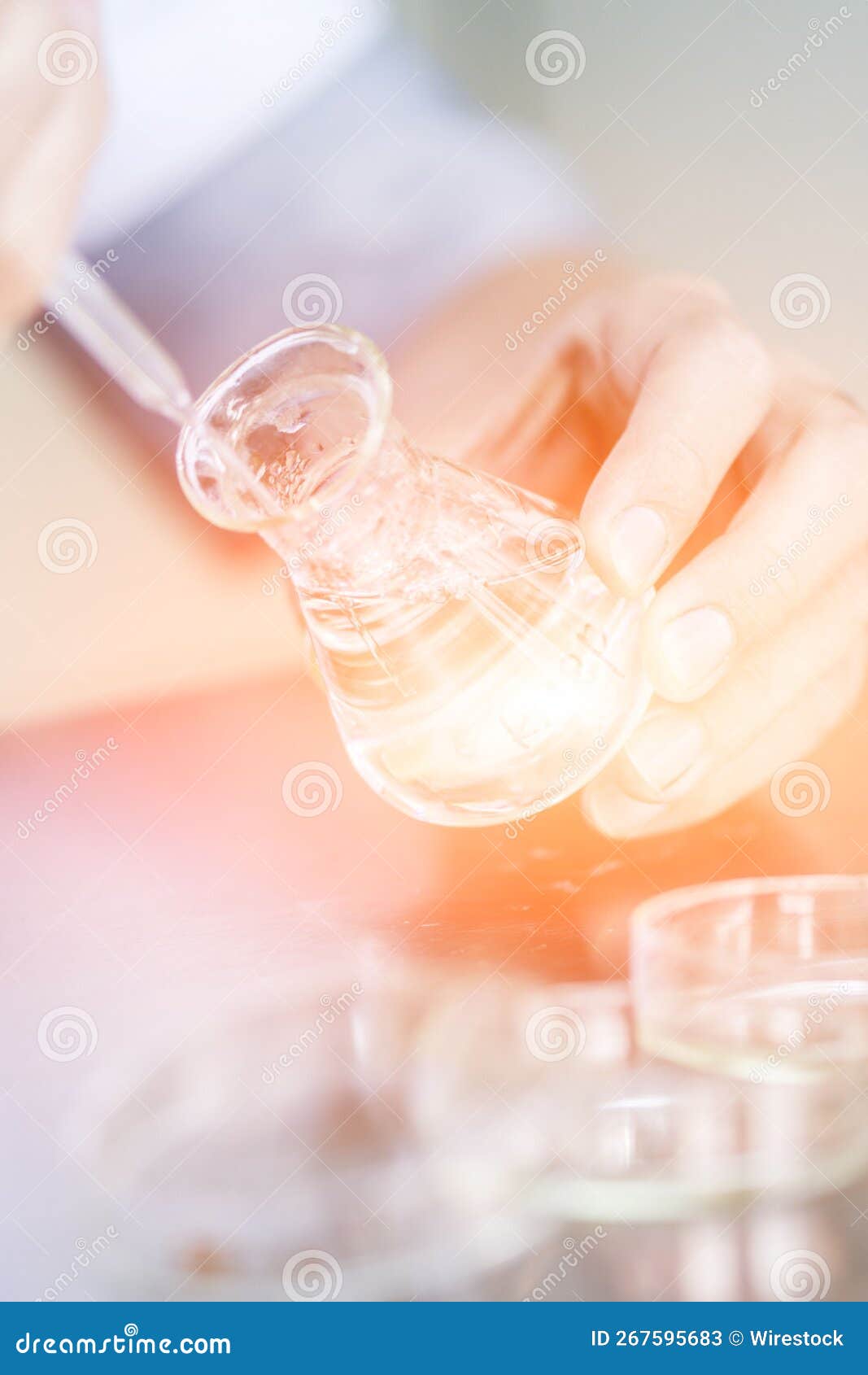 Experiment with a Test Tube in a Laboratory Stock Image - Image of ...