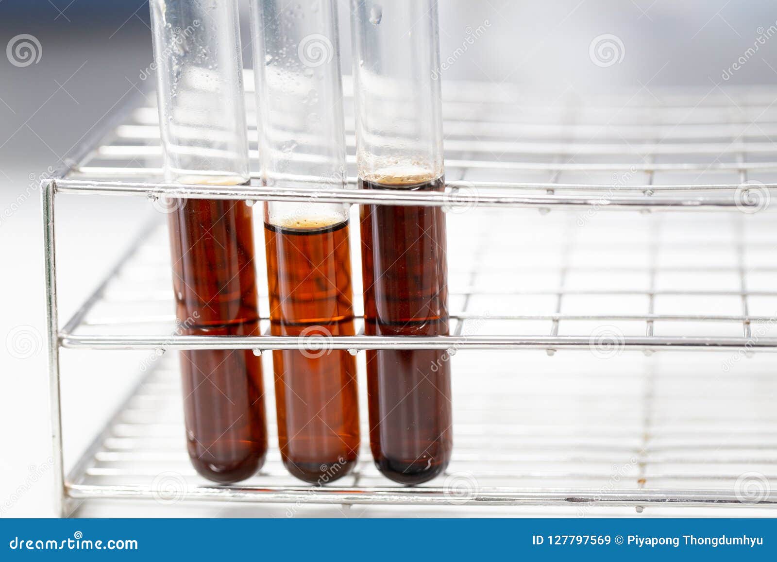 Experiment of Waste Fermentation in Laboratories. Stock Image - Image ...