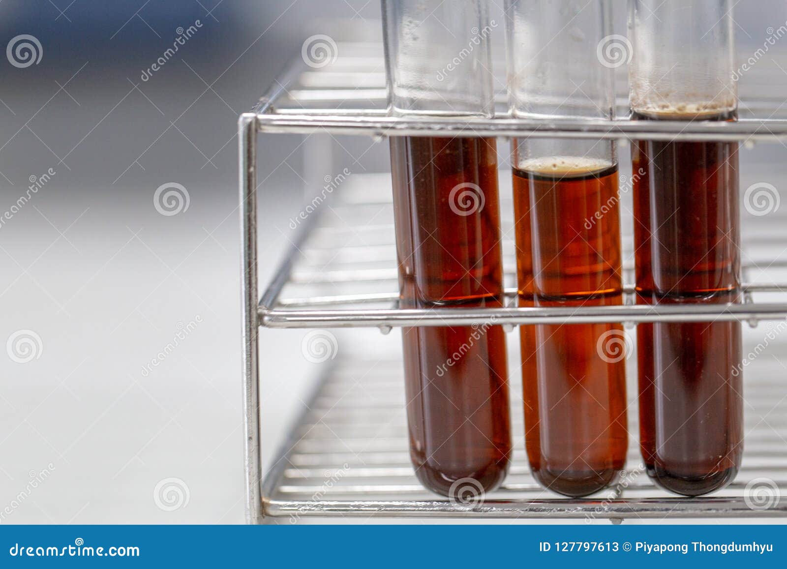 Experiment of Waste Fermentation in Laboratories. Stock Image - Image ...