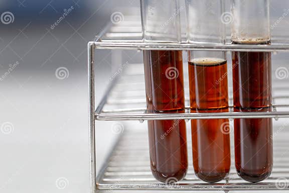 Experiment of Waste Fermentation in Laboratories. Stock Image - Image ...