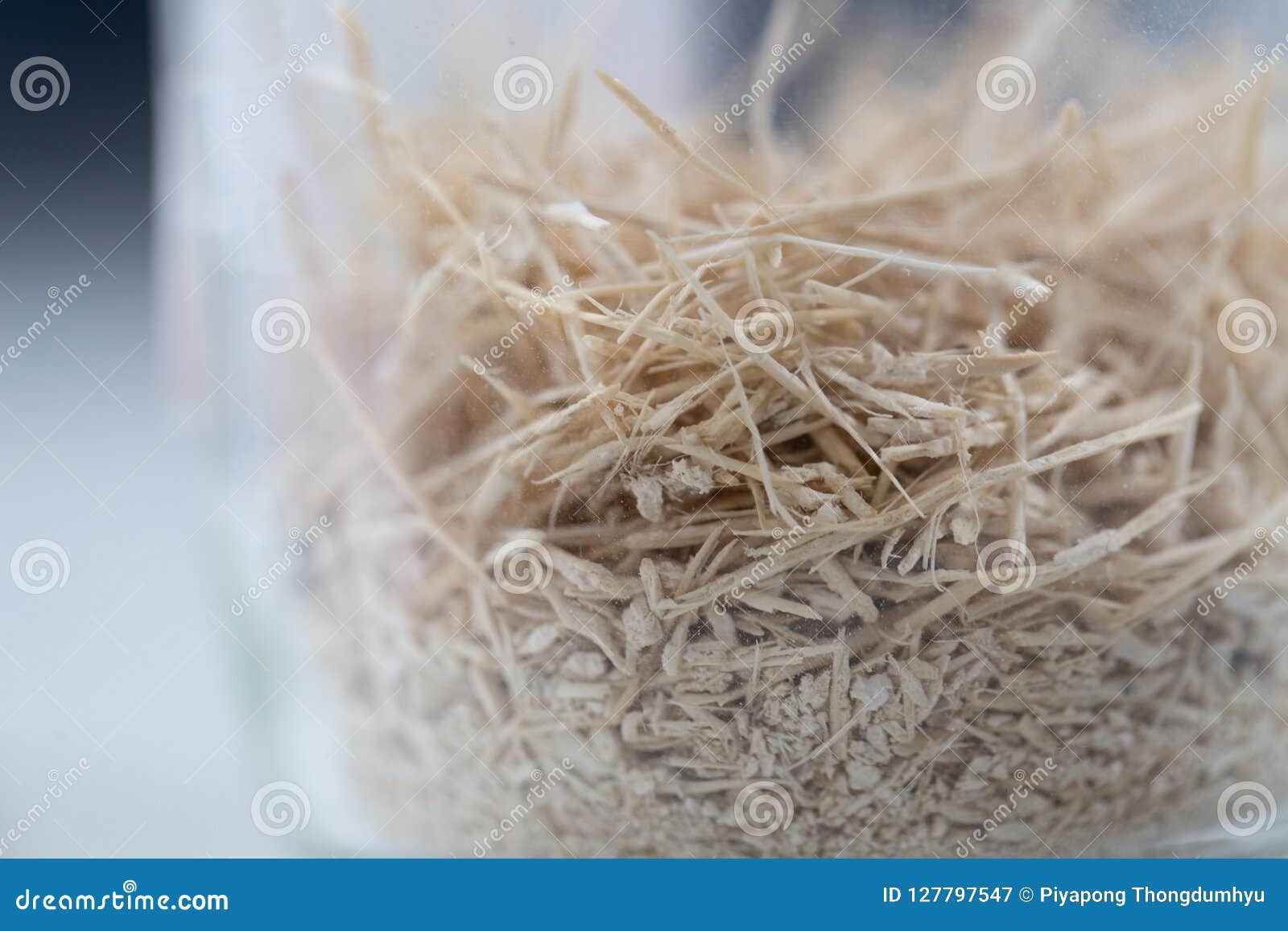 Experiment of Waste Fermentation in Laboratories. Stock Image - Image ...