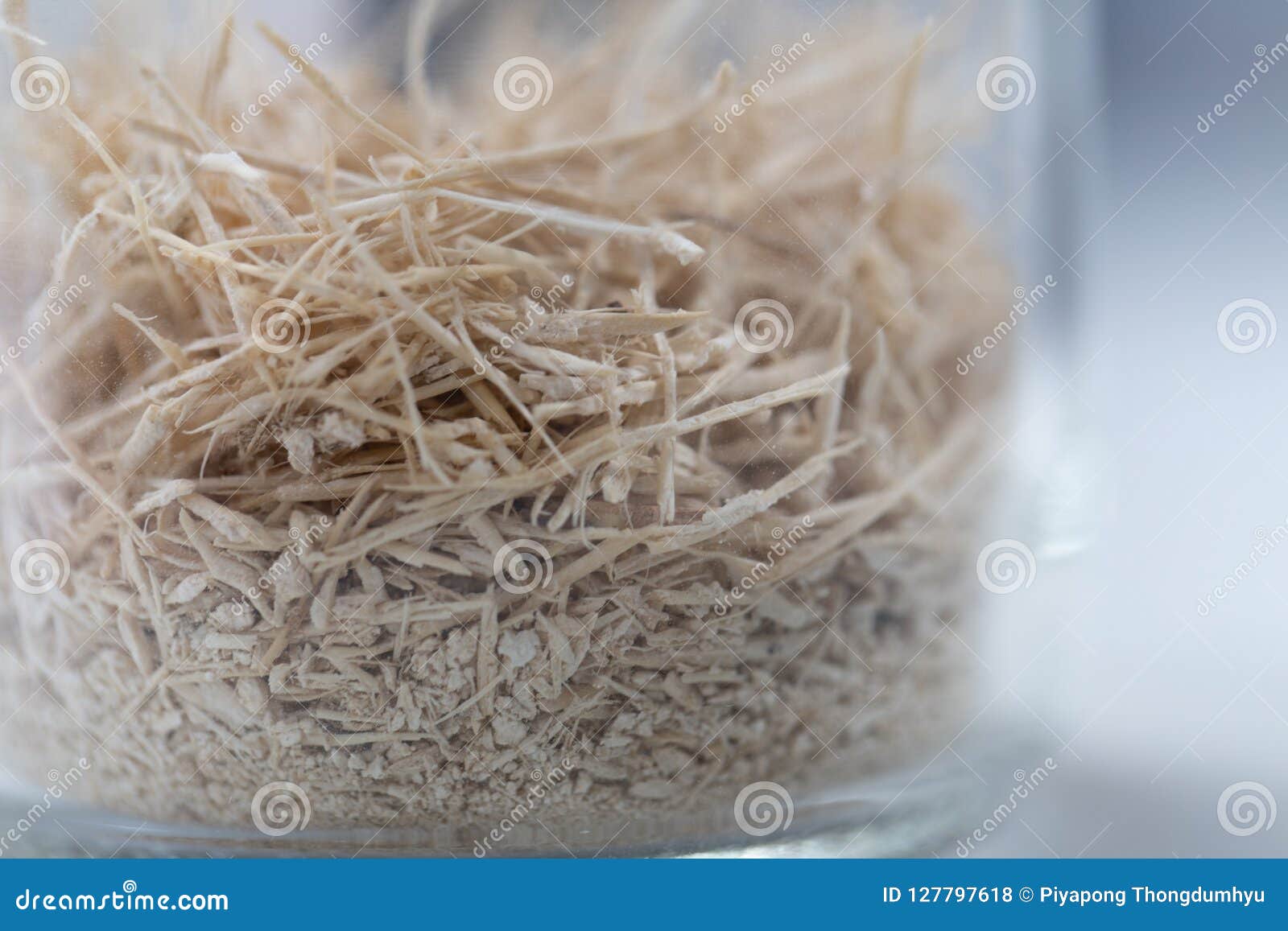 Experiment of Waste Fermentation in Laboratories. Stock Photo - Image ...