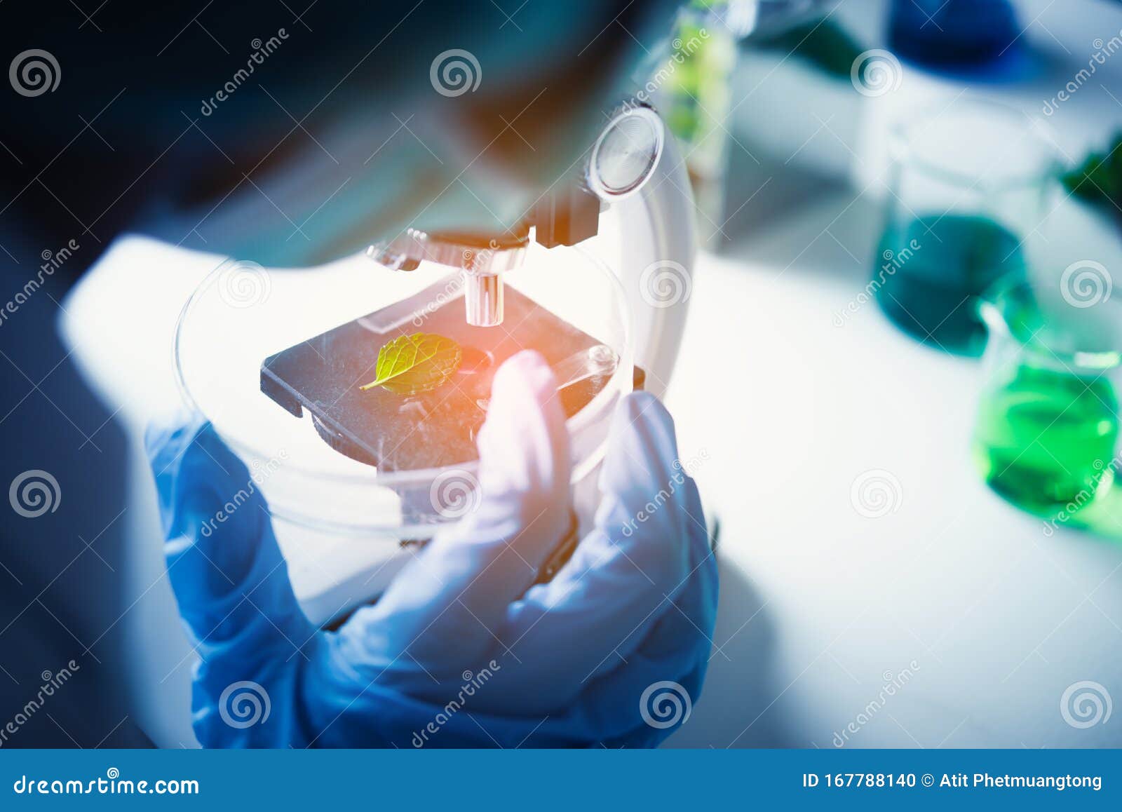 Experimental Methods of Plant Breeding a Test Tube in an Experiment ...