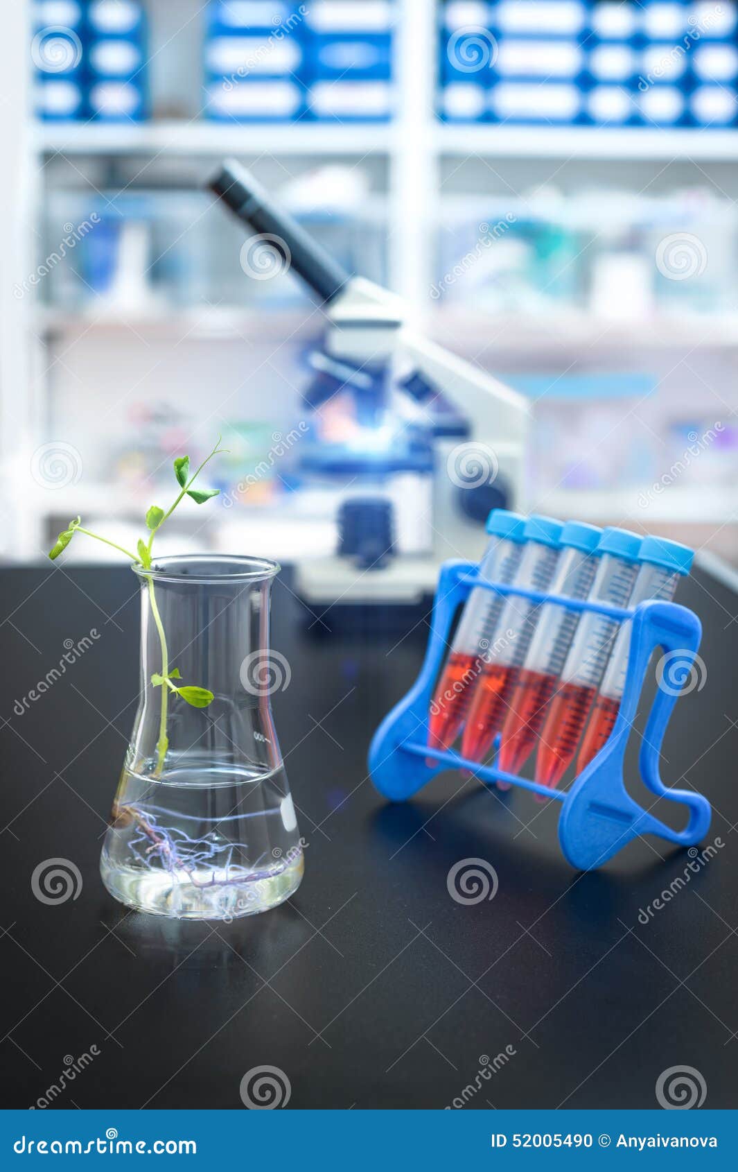 Experimental Plant in a Flask with Scientific Lab Out of Focus Stock ...
